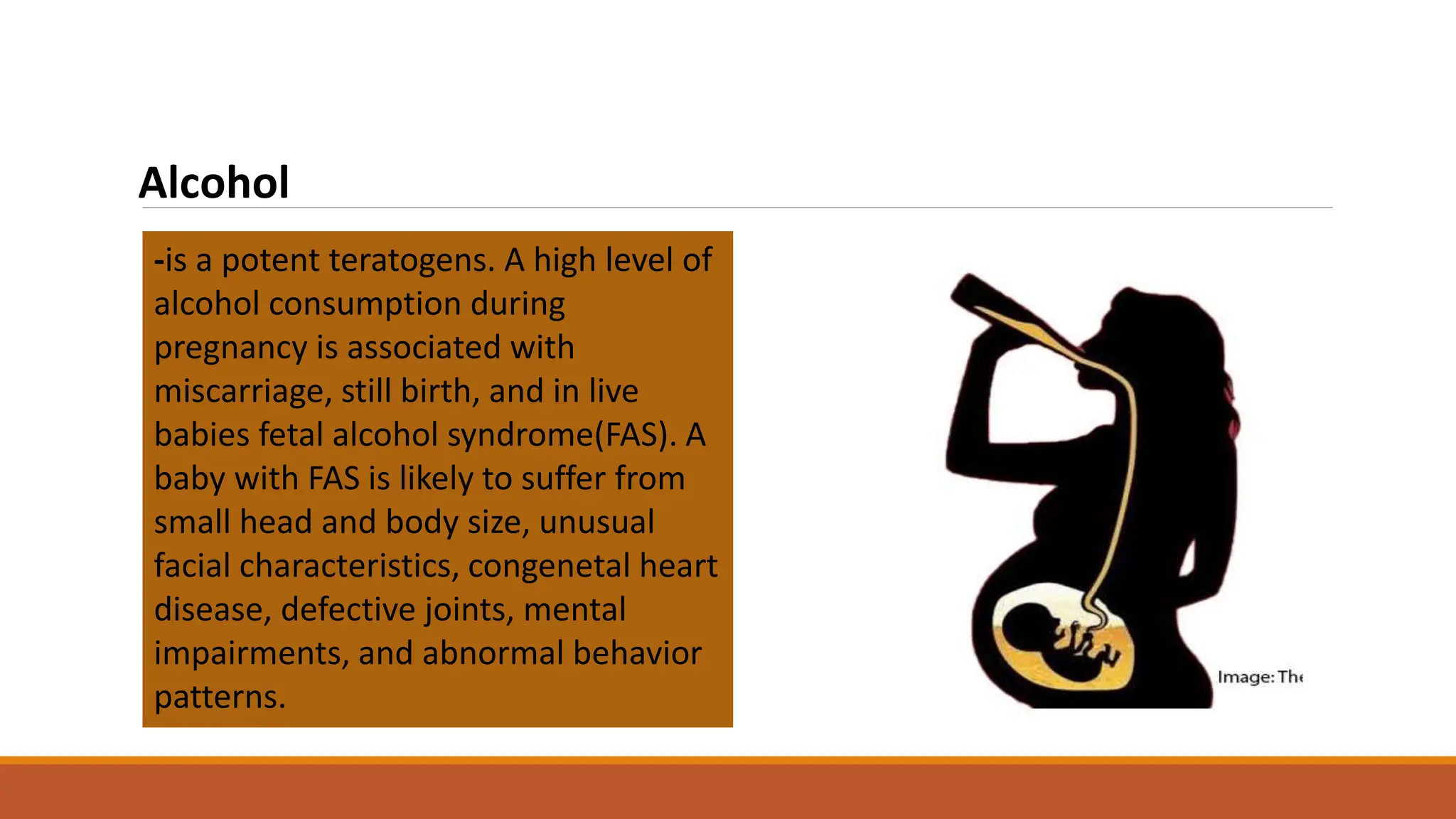 Factors Affecting Development Report.pptx