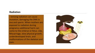 Factors Affecting Development Report.pptx
