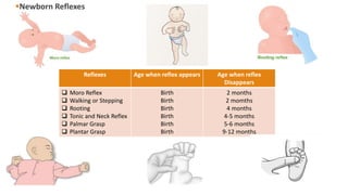 Factors Affecting Development Report.pptx