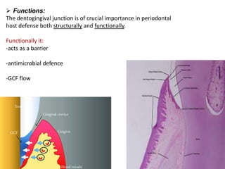 Factors affecting DGJ | PPTX