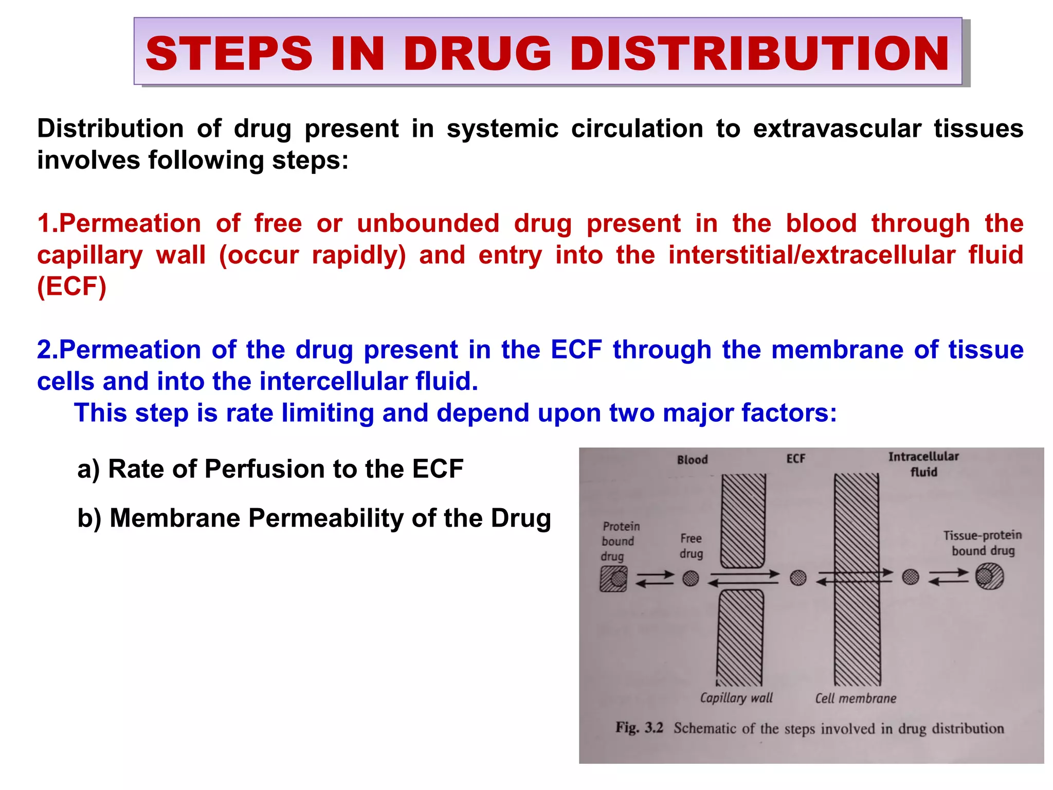 Factors affecting distribution of drug | PPT