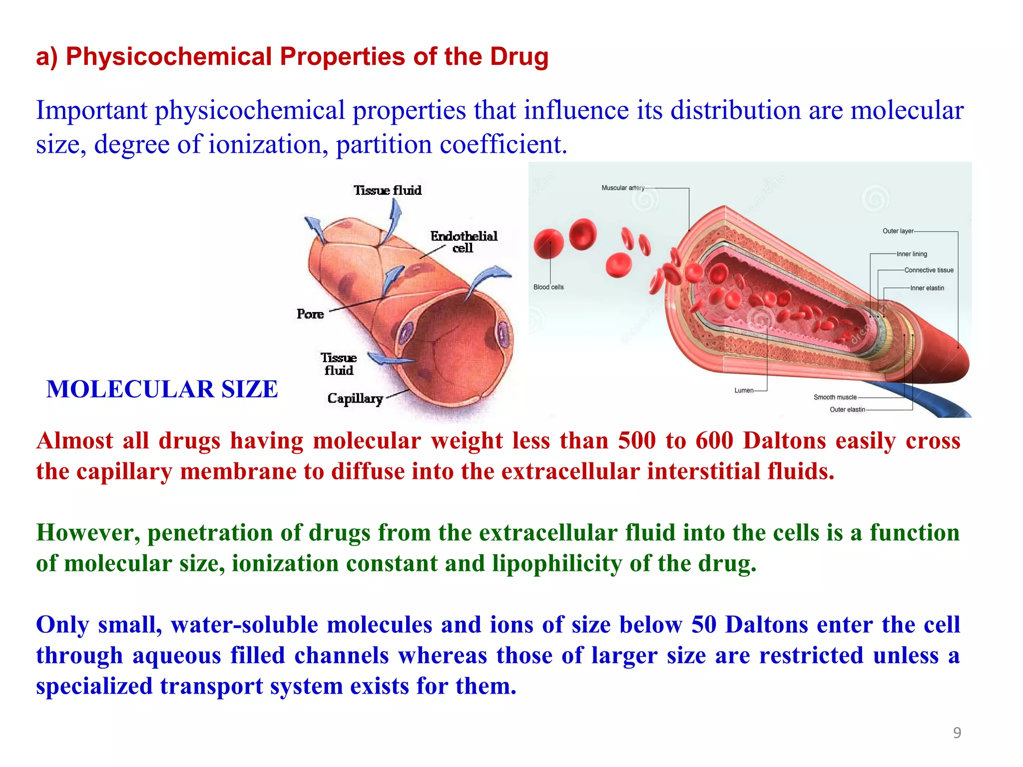 Factors Affecting Distribution Of Drug Ppt