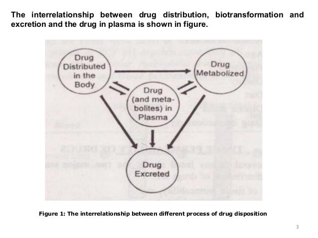 Factors Affecting Distribution Of Drug