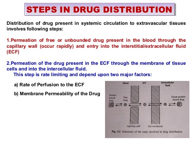 Factors Affecting Distribution Of Drug