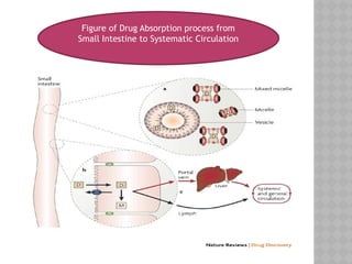 Factors Affecting Drug Absorption- by Chinmyee Saha, PhD Scholar,RKU | PPTX