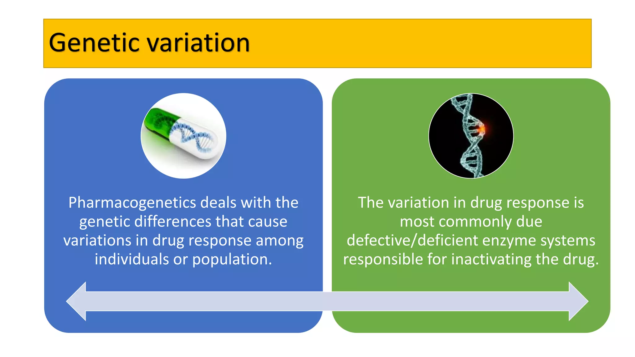 Factors affecting drug action in Pharmacology | PPTX