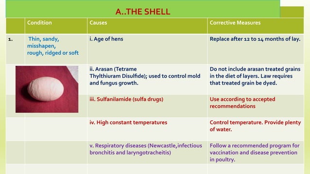 Factors affecting egg quality | PPTX