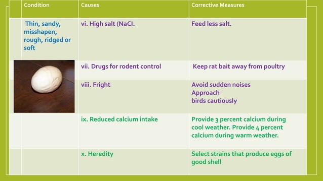 Factors affecting egg quality | PPTX
