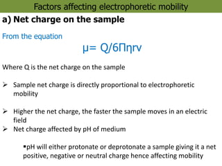 factors affecting electrophoretic mobility.ppt