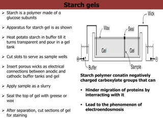 factors affecting electrophoretic mobility.ppt