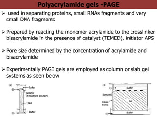 factors affecting electrophoretic mobility.ppt