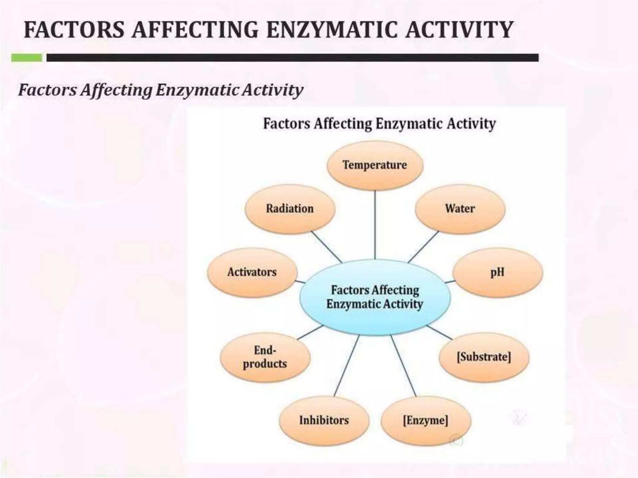 Factors Affecting Enzyme Action Ppt
