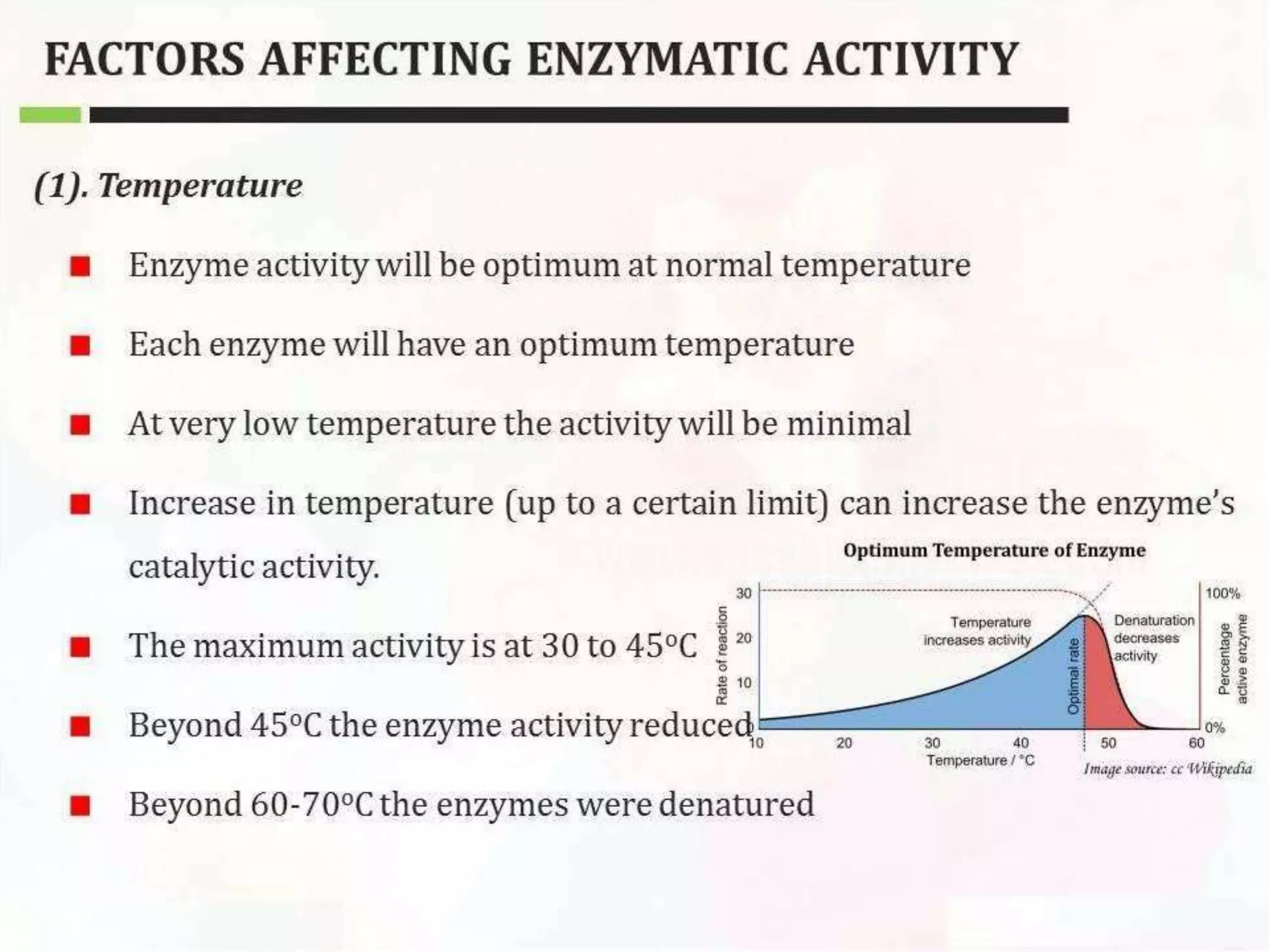 Factors Affecting Enzyme Action Ppt