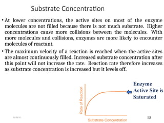 Factor affecting enzyme activity co enzyme | PPT