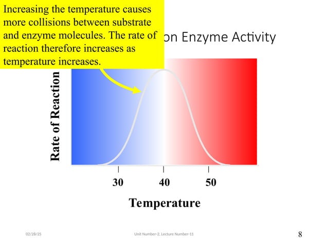 Factor affecting enzyme activity co enzyme | PPT