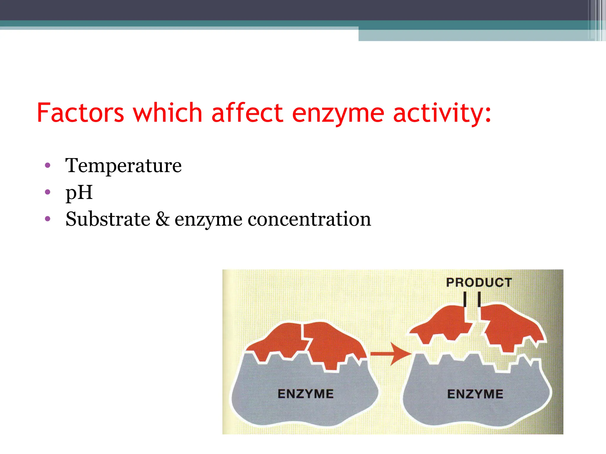 Factors affecting enzyme activityfgi.ppt