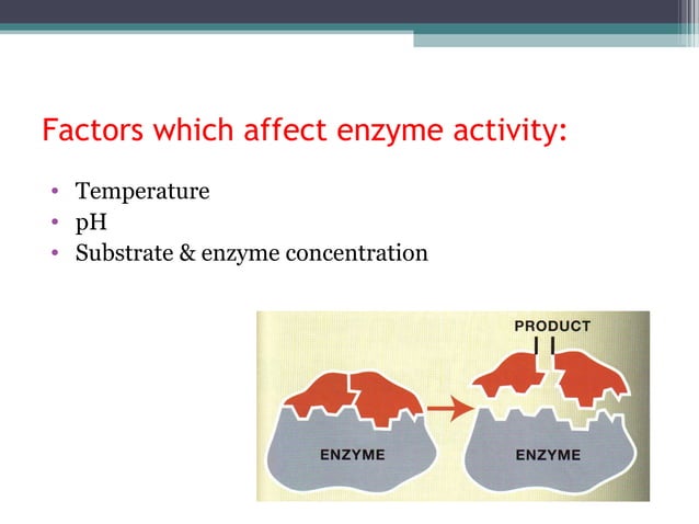 Factors affecting enzyme activityfgi.ppt