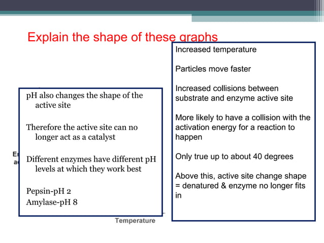 Factors affecting enzyme activityfgi.ppt