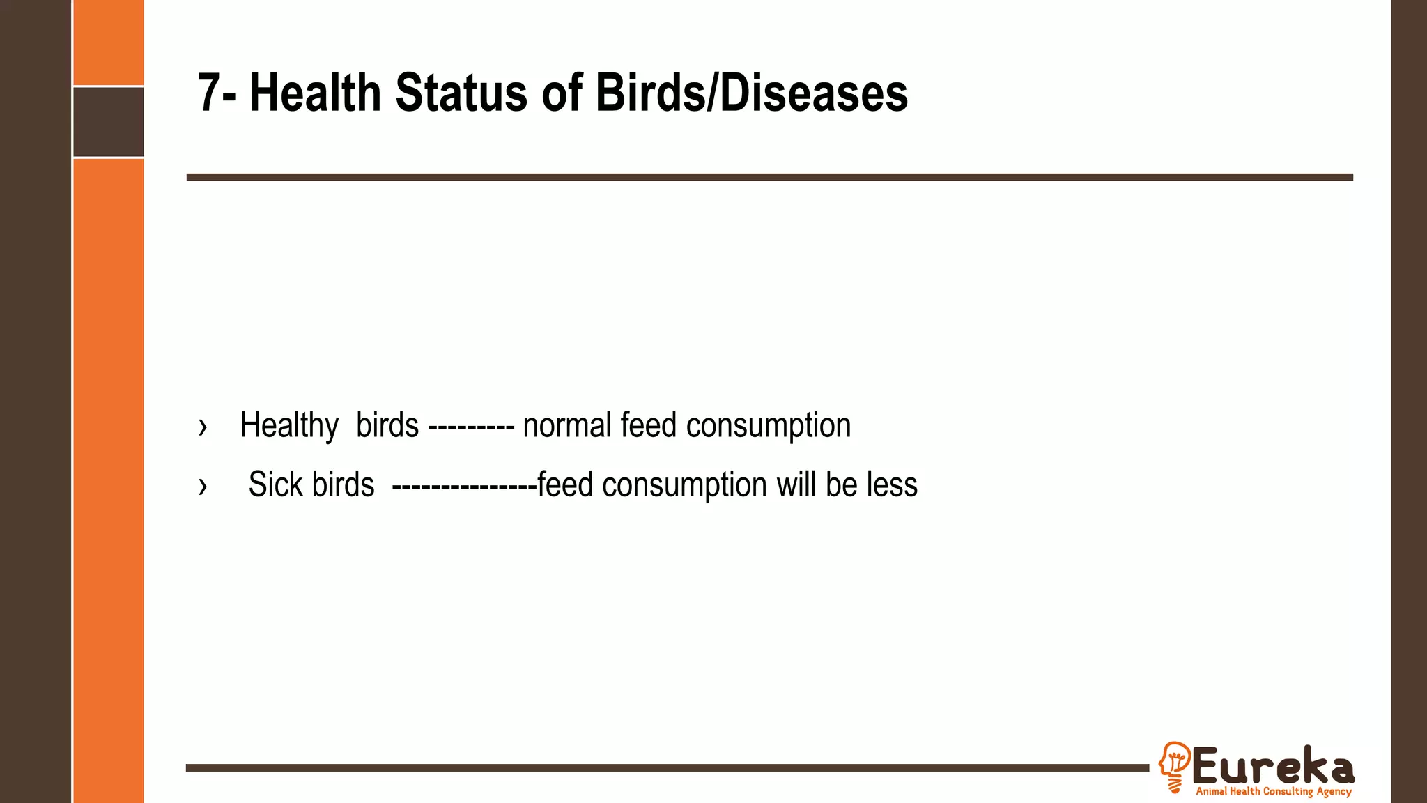 Factors Affecting Feed Consumption In Chicken.pptx