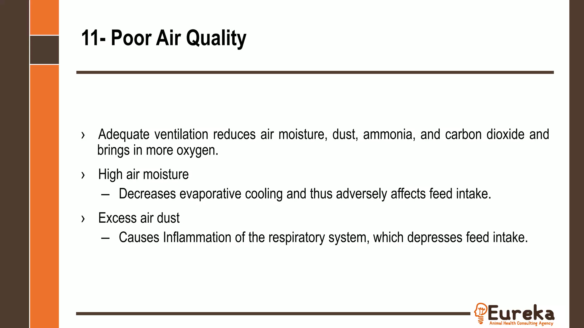 Factors Affecting Feed Consumption In Chicken.pptx
