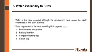 Factors Affecting Feed Consumption In Chicken.pptx | Birds | Pets