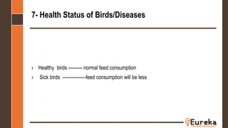 Factors Affecting Feed Consumption In Chicken.pptx | Birds | Pets