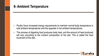 Factors Affecting Feed Consumption In Chicken.pptx | Birds | Pets