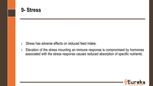 Factors Affecting Feed Consumption In Chicken.pptx | Birds | Pets