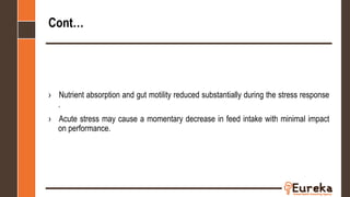 Factors Affecting Feed Consumption In Chicken.pptx | Birds | Pets