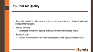 Factors Affecting Feed Consumption In Chicken.pptx | Birds | Pets