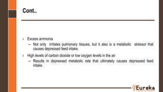 Factors Affecting Feed Consumption In Chicken.pptx | Birds | Pets