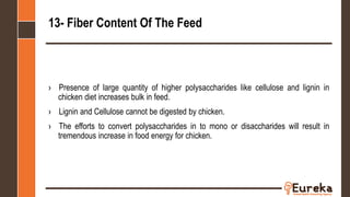 Factors Affecting Feed Consumption In Chicken.pptx | Birds | Pets