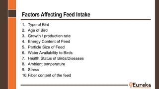Factors Affecting Feed Consumption In Chicken.pptx | Birds | Pets