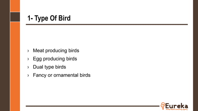 Factors Affecting Feed Consumption In Chicken.pptx | Birds | Pets