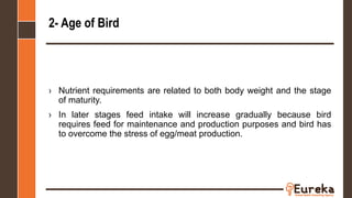 Factors Affecting Feed Consumption In Chicken.pptx | Birds | Pets
