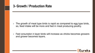Factors Affecting Feed Consumption In Chicken.pptx | Birds | Pets