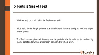 Factors Affecting Feed Consumption In Chicken.pptx | Birds | Pets