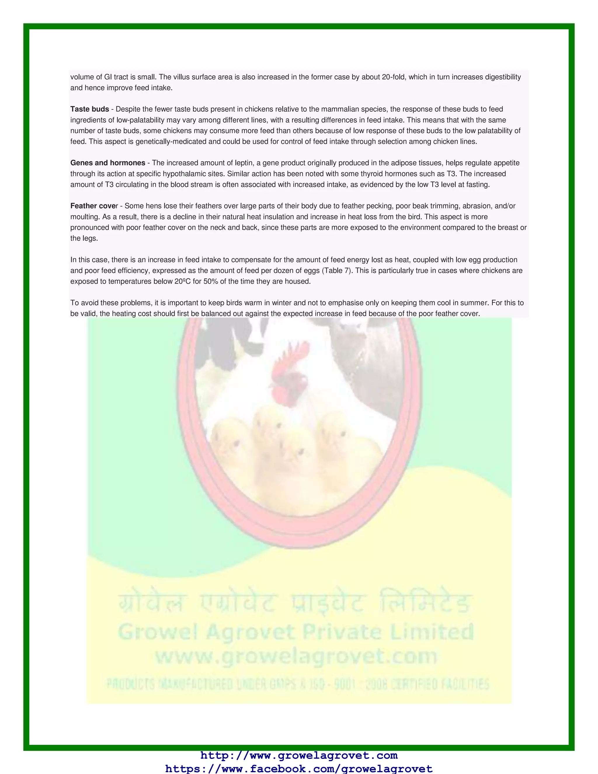 Factors Affecting Feed Intake in Poultry. | PDF