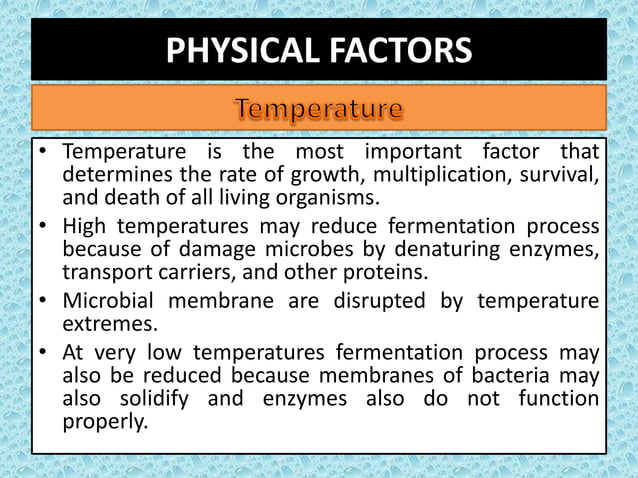 Factors affecting fermentation | PPTX | Chemistry | Science