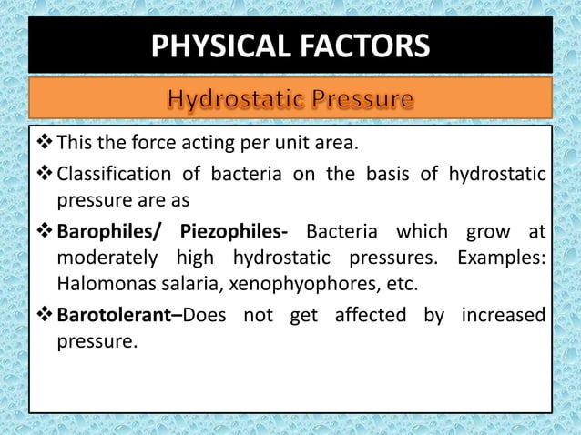 Factors affecting fermentation | PPTX | Chemistry | Science
