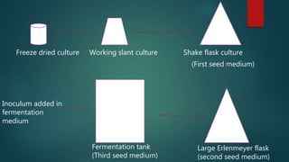 Factors affecting fermentation | PPTX