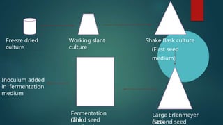 Factors affecting fermentation .gfgggpptx | PPTX