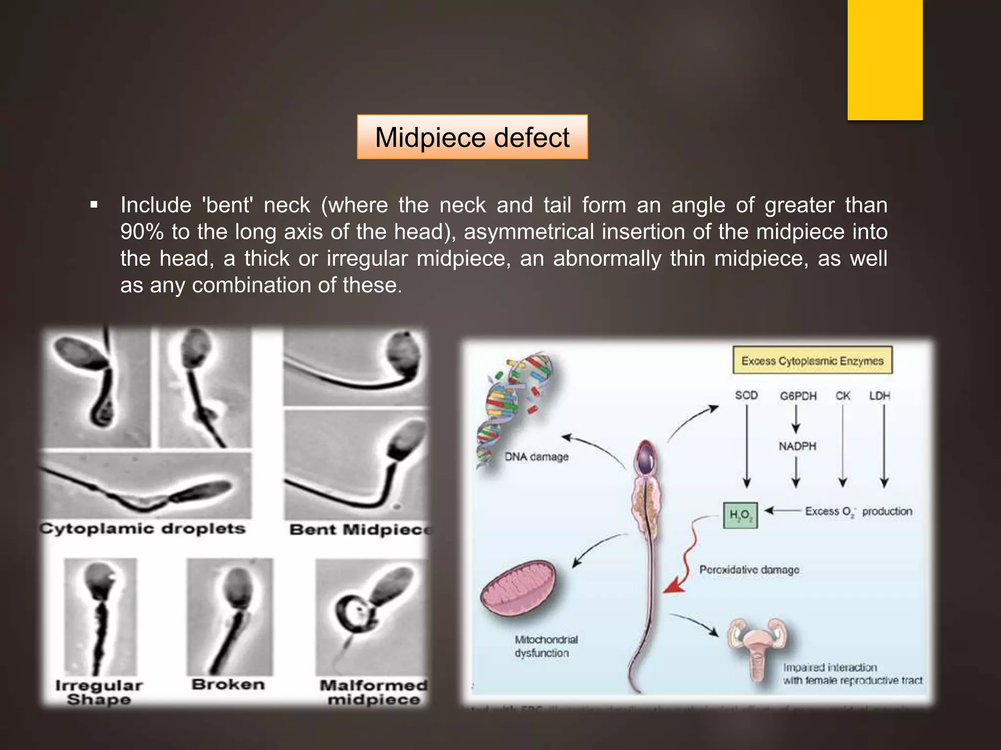 Factors affecting fertilization in icsi | PPTX