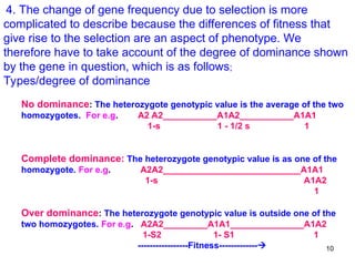 Factors affecting gene freq. p.p.presentation-1.ppt
