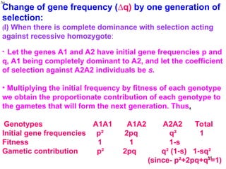 Factors affecting gene freq. p.p.presentation-1.ppt