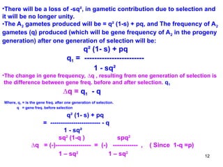 Factors affecting gene freq. p.p.presentation-1.ppt