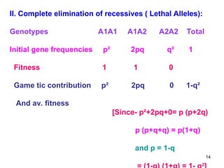 Factors affecting gene freq. p.p.presentation-1.ppt