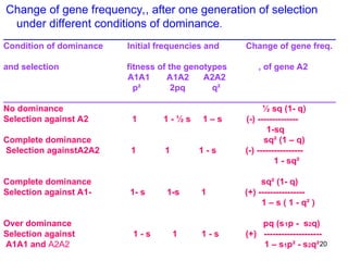 Factors affecting gene freq. p.p.presentation-1.ppt