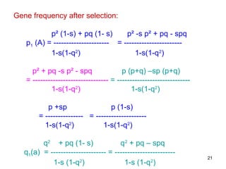 Factors affecting gene freq. p.p.presentation-1.ppt
