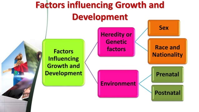 Factors affecting growth and development | PPTX | Birth | Personal ...